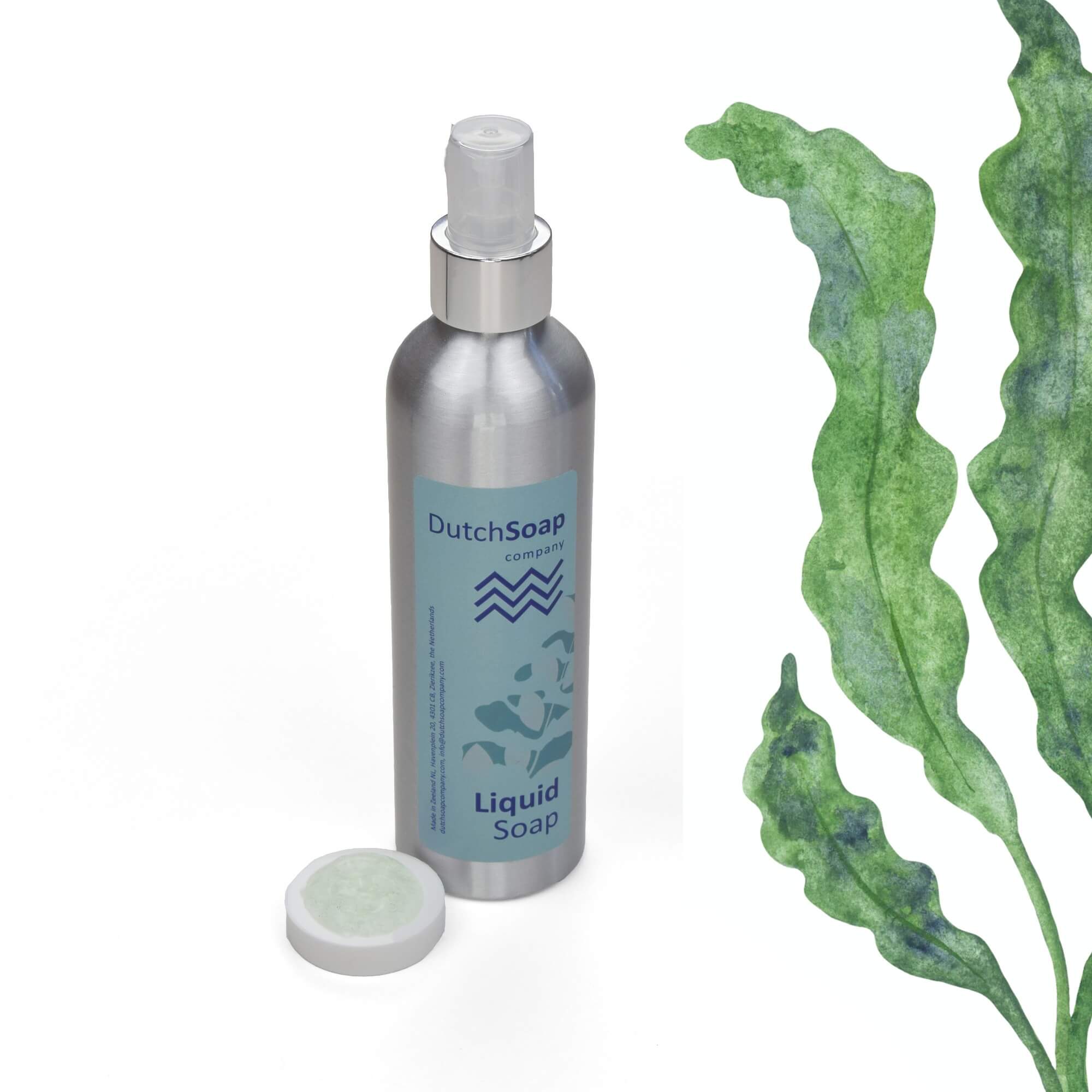 'North Sea Seaweed' Liquid Soap – Dutch Soap Company